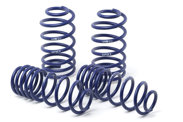 H&R 06-07 Ford Focus Sport Spring (Non Wagon) – Lightwerkz Global Inc